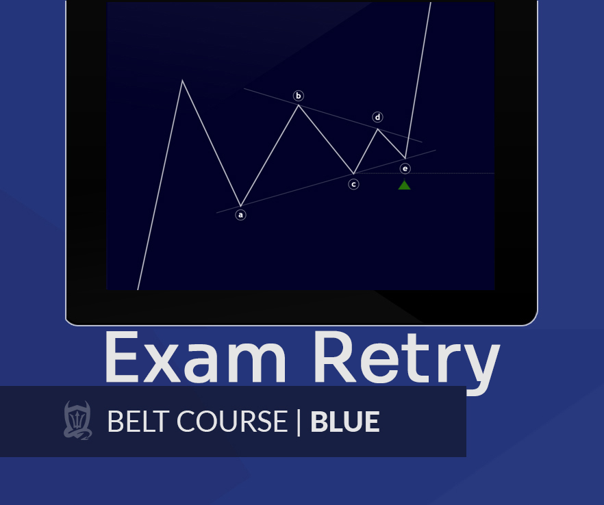 Blue Belt Exam Retry - TradeDevils
